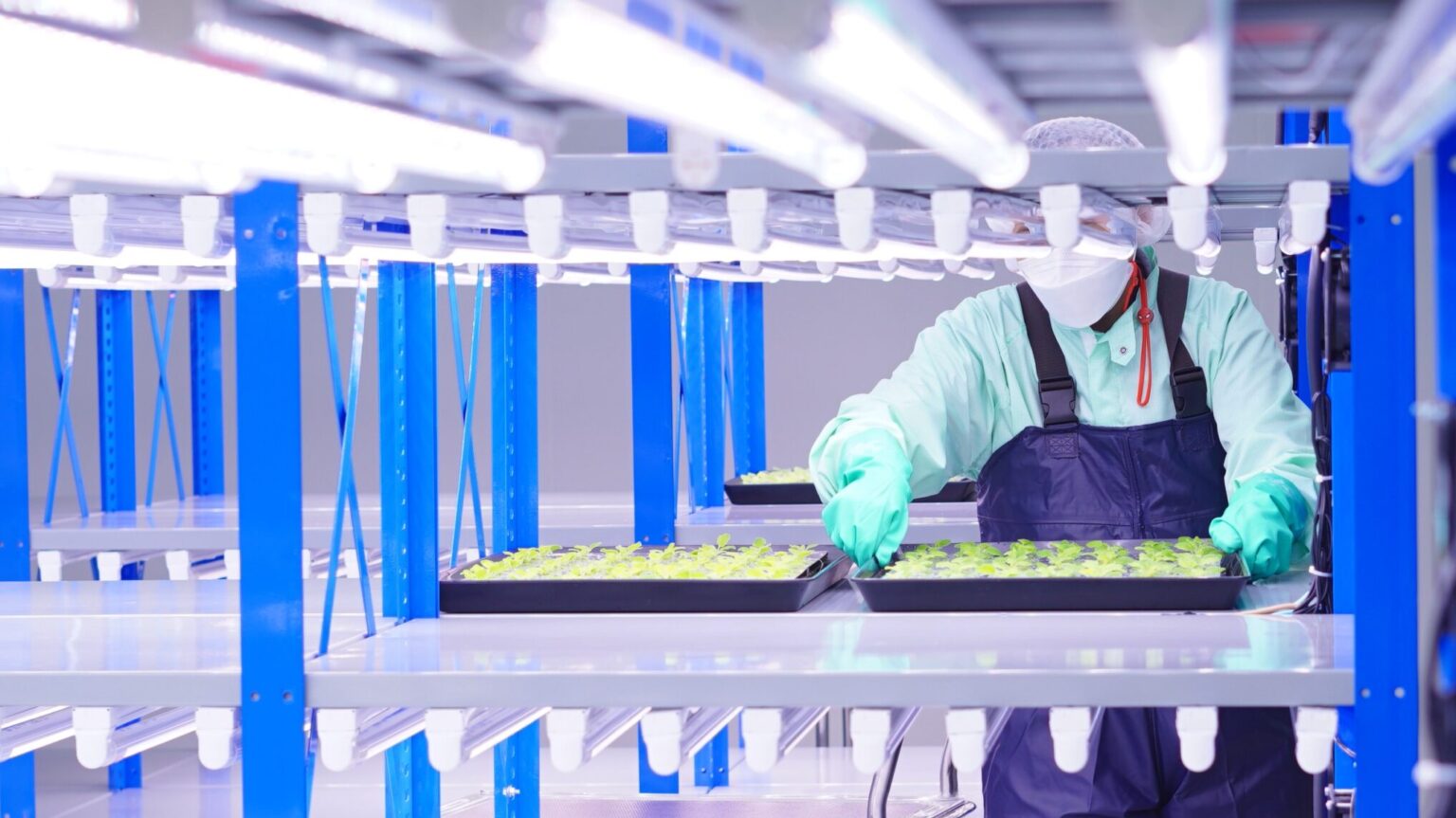 Baiya Phytopharm | Plant-Based Biopharmaceuticals & Vaccines | Thailand